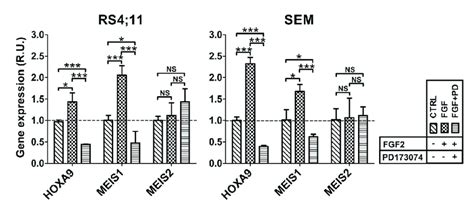 Pd173074 Inhibitor Prevents Fgf2 Induced Transcription Of Mll Af4