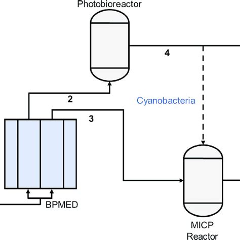 Process Flow Diagram Of Scaled Up Microbially Induced Precipitation Download Scientific Diagram