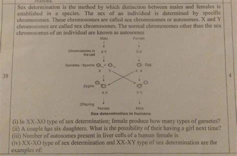 Sex Determination Is The Method By Which Distinction Between Males And Fe