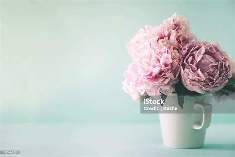 파란색 배경에 핑크 모란 꽃 공간을 복사합니다 플로럴 컴포지션 결혼식 생일 기념일 꽃다발 여성의 날 어머니의 날 모란 꽃의 매크로 개화기에 대한 스톡 사진 및 기타 이미지