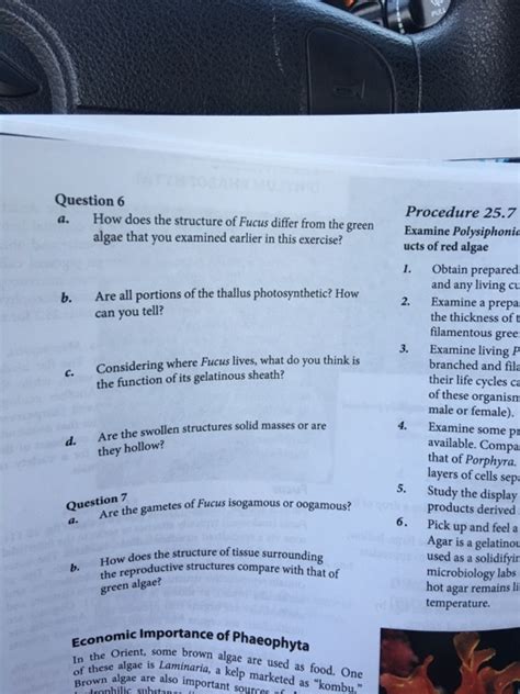 Solved How Does The Structure Of Fucus Differ From The Green