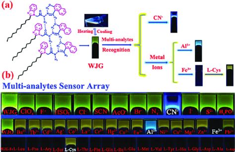 A Schematic Representation Of The Multianalyte Responsive System B