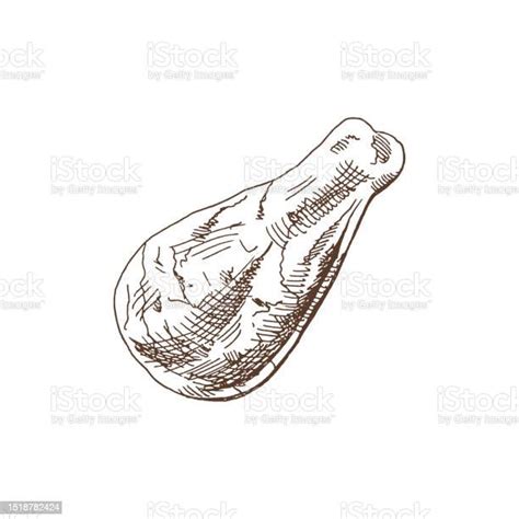 유기농 식품 프라이드 치킨 다리 음식 고기의 손으로 그린 벡터 스케치 낙서 빈티지 그림입니다 카페 및 레이블 메뉴 장식 새겨진 Immmage 가금류에 대한 스톡 벡터 아트