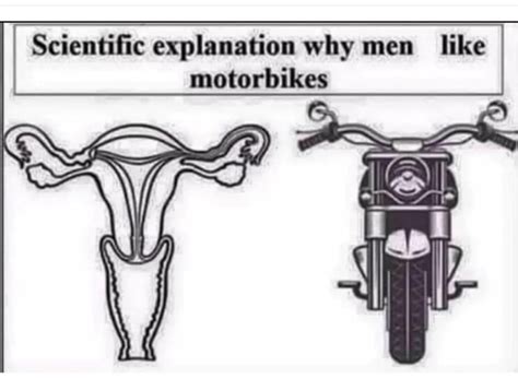 Now Everything Makes Sense GAG