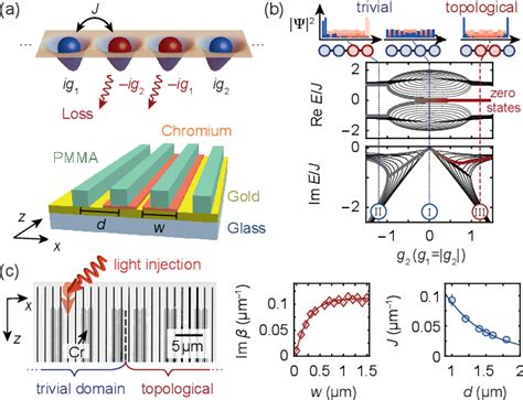 Figure 1 From Observation Of A Topological Edge State Stabilized By