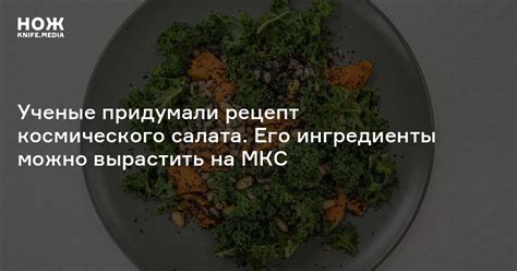Ученые придумали рецепт космического салата Его ингредиенты можно вырастить на МКС — Нож