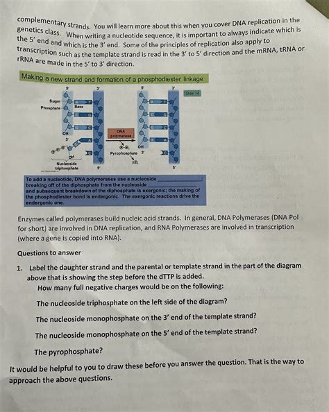 Solved 3 Draw A Nucleoside That Contains The Base Found Only