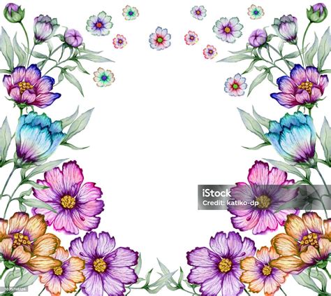 아름 다운 꽃 테두리입니다 흰색 바탕에 녹색 잎을 가진 화려한 코스모스 꽃 텍스트를 위한 공간 프레임 광장 수채화 그림입니다 그림 그리기에 대한 스톡 벡터 아트 및 기타