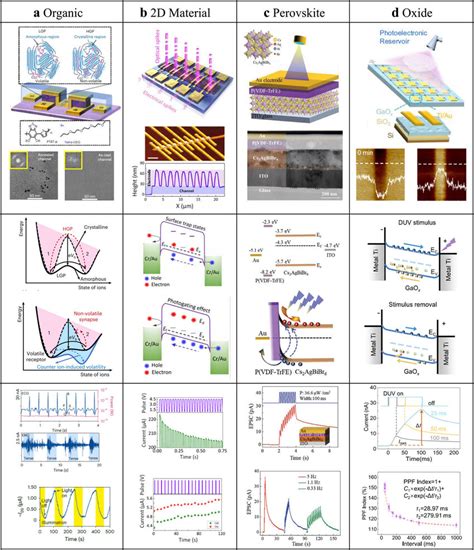 Emerging Devices For In Sensor Rc A An Organic Electrolyte Gated Download Scientific Diagram