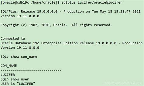 Oracle 19c同版本 Non Cdb 转换为 Cdbpdb（dbmspdbdescribe方式）dbms Pdbdescribe Csdn博客