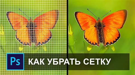 Как отключить пиксельную сетку в фотошопе Youtube