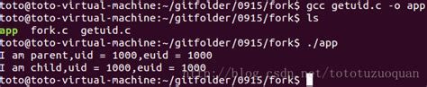 4进程原语：fork函数，getpid函数和getppid函数，getuid函数，getgid函数vforkvfork 废弃了 Csdn博客