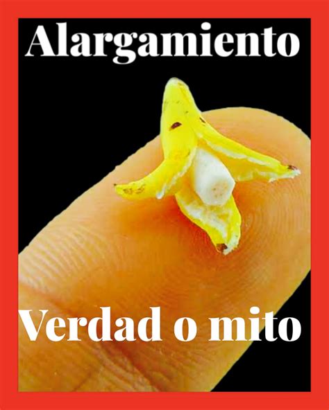 Alargamiento De Pene Explorando El Mito Y La Realidad