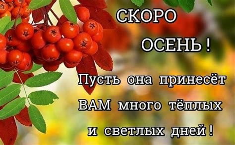 Люблю я осень золотую Светлана Боголюбова Стихи ру