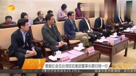 蔡振红会见台湾旺旺集团董事长蔡衍明一行乐高清1080p在线观看平台腾讯视频