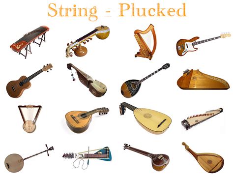 plucked string instruments