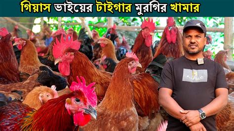 গিয়াস ভাইয়ের লাভজনক টাইগার মুরগির খামার। টাইগার মুরগী পালনে খরচের তুলনায় লাভ কেমন হয় Youtube
