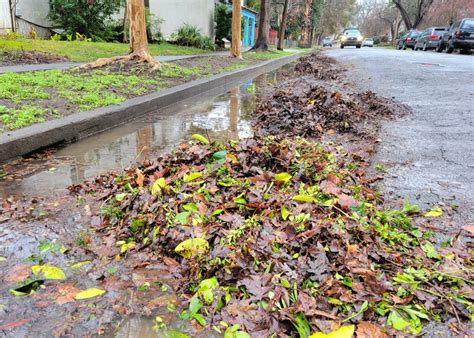 Storms Slow Leaf Pick Up In Chico Chico Enterprise Record