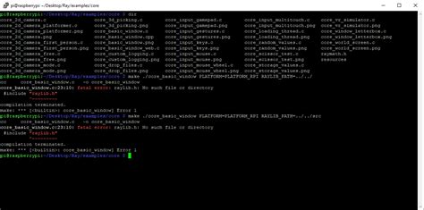 Build Problem When Trying To Compile Examples On Raspian And Pi 3