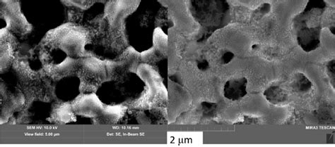 Sem Micrographs Of The Tungsten Surface After Combined Irradiation With Download Scientific