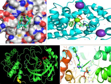 Cadd计算机辅助药物设计 知乎