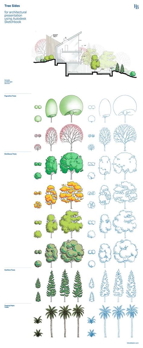 Tree Sides Landscape Architecture Drawing Landscape Design Drawings