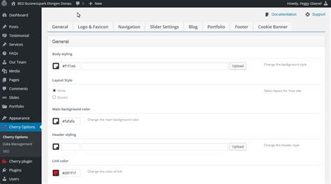 cherryframework 3 troubleshooter how to deal with lessphp fatal error expected color value