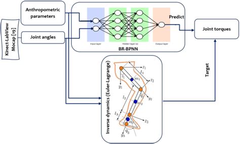 Figure 1 From Lower Limb Joint Torque Estimation Via Bayesian