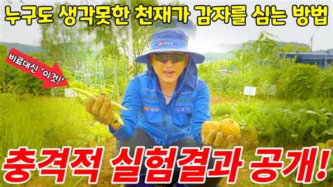 감자농사 대박 아무도 안 알려줬던 천재적인 감자심기 실험결과 공개합니다 Youtube