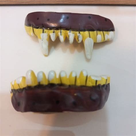 کمدا قیمت و خرید دندون دارکولا رده سنی کودک نوجوان