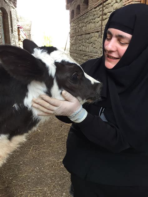 ბოდბის დედათა მონასტერი Bodbe Convent Бодбийский Монастырь Home