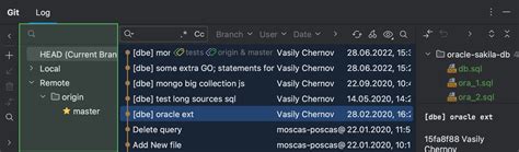 Manage Git Branches Datagrip Documentation