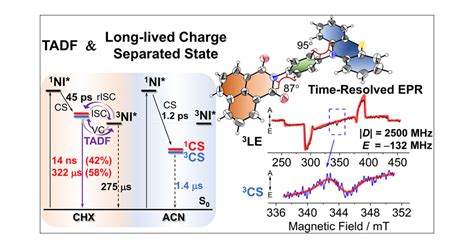 Long Lived Charge Separated State In Naphthalimidephenothiazine Compact Electron Donoracceptor