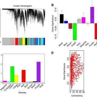 Weighted Gene Correlation Network Analysis WGCNA Each Module Is Download Scientific Diagram