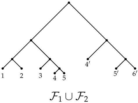 Axioms Topical Collection Topological Groups