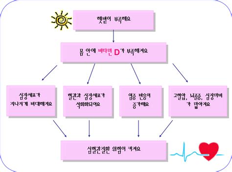 영양 리포트 건강한 심장을 위해 눈부신 햇살을 가득~