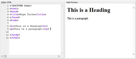Vcl Load Html Code In Twebbrowser Synaptica Srl