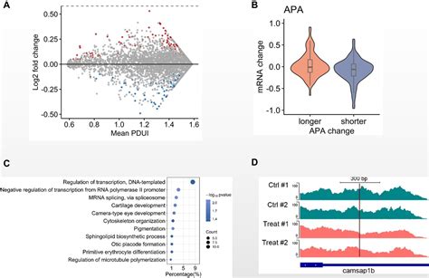 Frontiers Integrative Transcriptome Analysis Reveals Alternative Polyadenylation Potentially