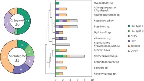 Secondary Metabolite Gene Clusters In C Taylorii And Its Microbiome Download Scientific