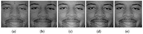 Hyperface A Deep Fusion Model For Hyperspectral Face Recognition