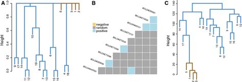 Analysis Of Beta Diversity Among Sites And Co Occurrence Patterns