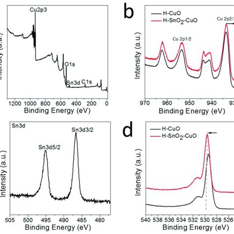 Xps Spectra Of H Cuo And H Sno 2 Cuo A The Survey Spectrum B Cu Download Scientific