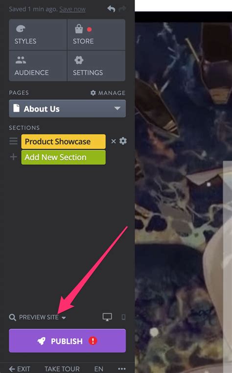 undo redo buttons and site history strikingly help center