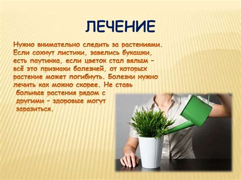 Комнатные растения презентация онлайн