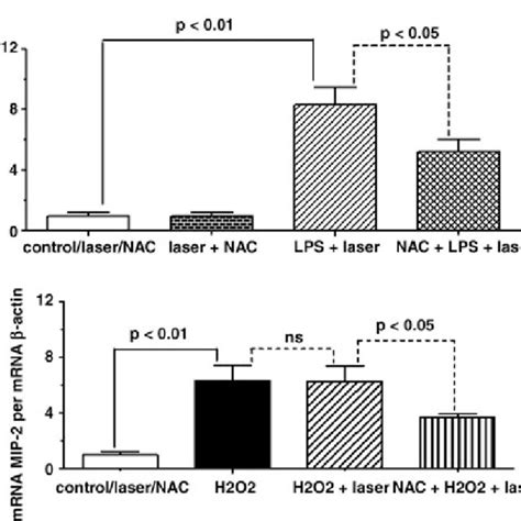 Effect Of Nf Kb Inhibitor Bms 205820 On The Synergistic Effect Between
