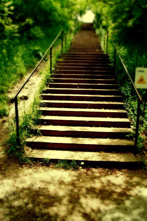 Steps