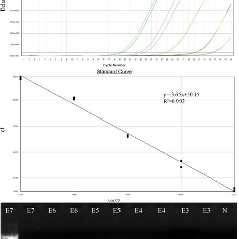Amplification Plots And Standard Curves Of Multiplex One Step Qrt Pcr Download Scientific