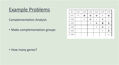 Solved Example Problemscomplementation Analysismake