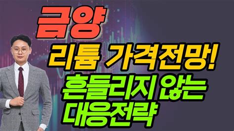 금양 주가전망 리튬 가격 전망 흔들리지 않는 대응전략 Youtube