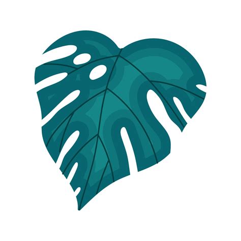 Exotic Leaf Plant Foliage Vector Art At Vecteezy